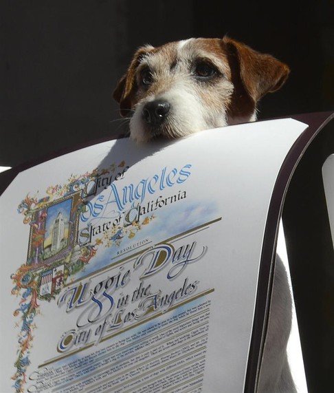 Homenajearon al perro Uggie
