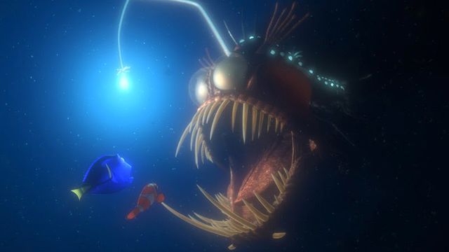 Logran filmar al misterioso pez "diablo negro del mar"
