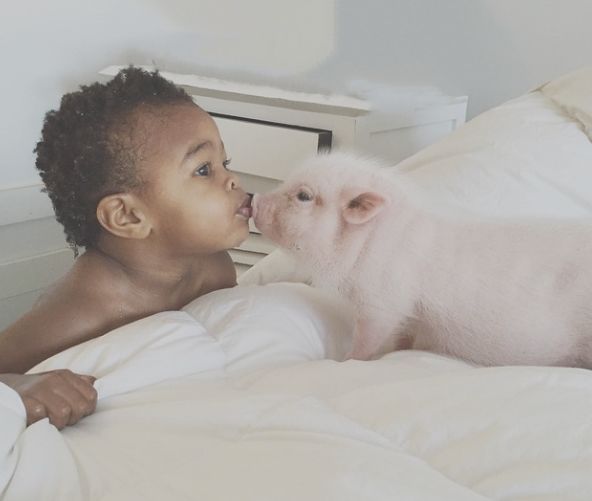 Libby y Pearl, un simpático dúo que enternece a Instagram
