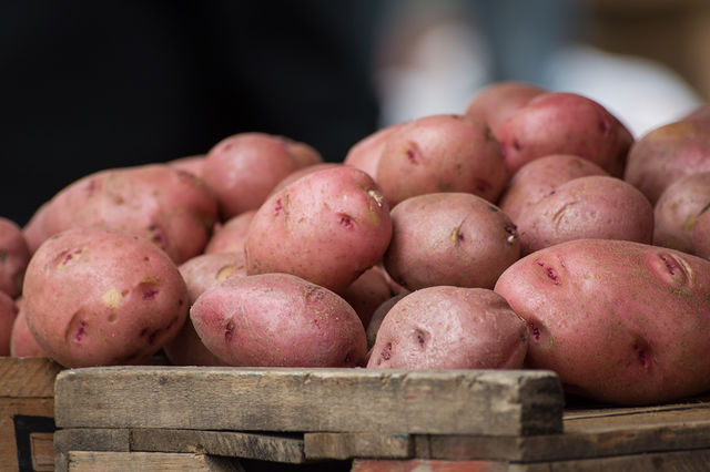Una mutación natural y el cruce de diversas variedades crearon la papa ...