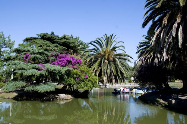 El Parque Rodó, Parque Batlle y Prado, los tres parques más visitados ...