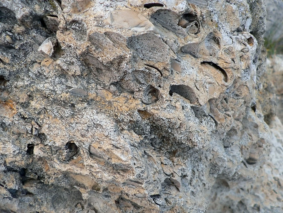 Descubren microfósiles de al menos 3.770 millones de años de antigüedad