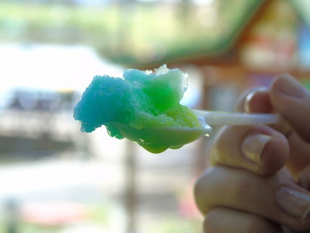 Helado sudafricano hecho con leche de insecto, presentado como un nuevo ...