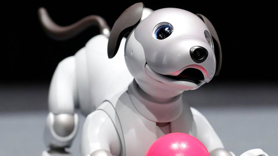 Sony presenta una versión "policía" de su perro-robot Aibo