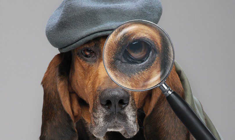 National Geographic estrena docu-reality sobre la búsqueda de animales ...