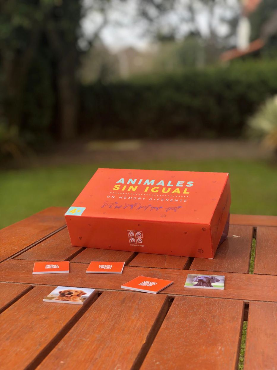 Animales Sin Igual, un juego que valora la originalidad de cada perro ...