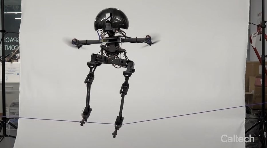 LEONARDO, el robot que sube a la cuerda floja y usa monopatín