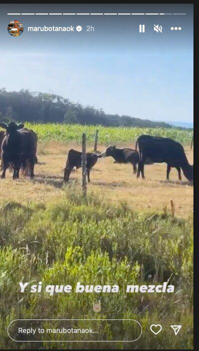 “Del agua al campo”: el ciclismo intenso de Maru Botana por la laguna ...