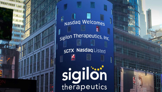 Negocios & Tendencias