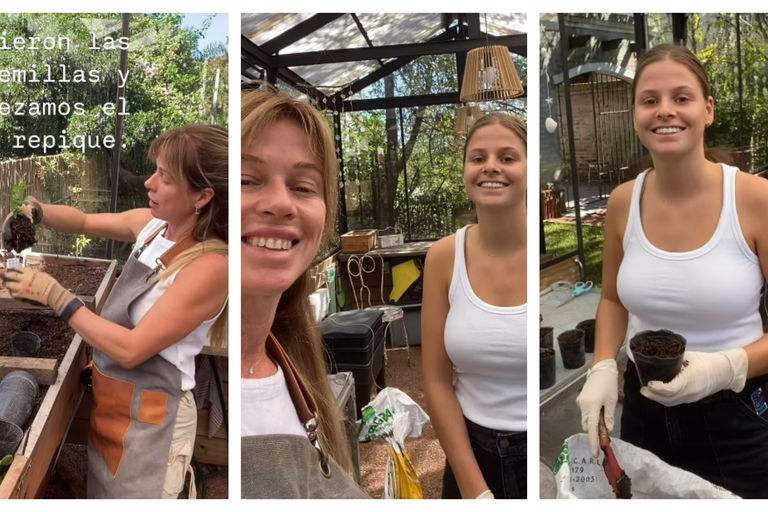 Los tips de Loli Ponce de León para trasplantar plantines, con la ayuda ...